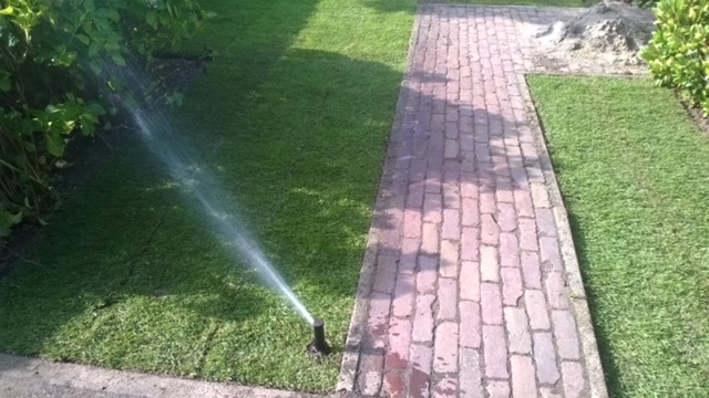 Foto’s – Theo Piek